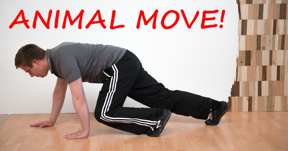 Fitness-Trend Animal Move – tierisch fit werden - Fitshop - Das Fitness ...